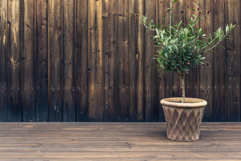 Oil the terrace – how to, step by step – Anza